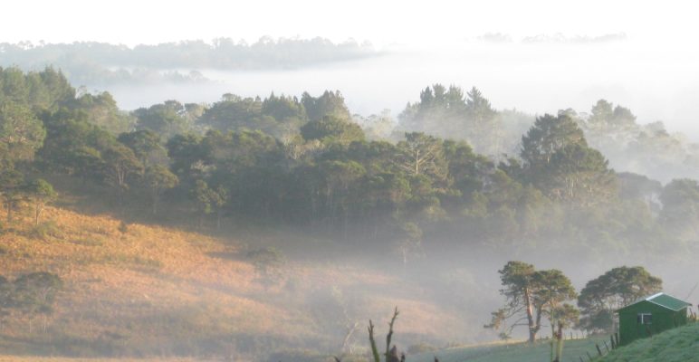 Our Story - Mead in New Zealand